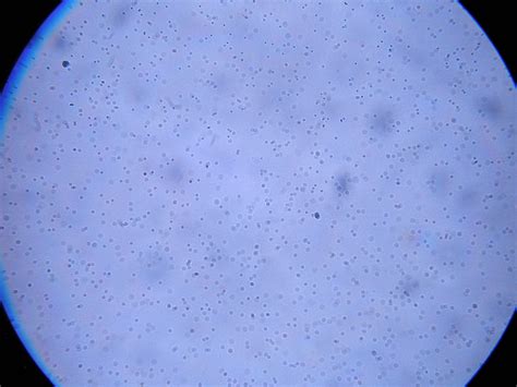 Image Processing Optimal Binarize Value For Counting Experiment