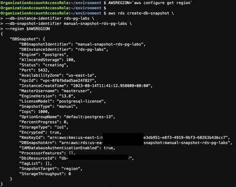 Manage The Rds Postgresql Instance Using The Aws Cli