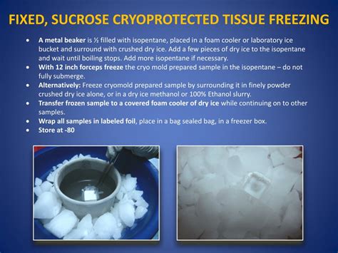 Ppt Tissue Freezing Methods For Cryostat Sectioning Powerpoint