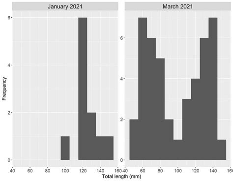 Length Frequency Distributions Of Juvenile Murray Cod Captured Within Download Scientific