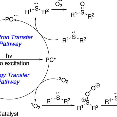 Photo Oxidation Of Thioethers Into Sulfoxides Download Scientific