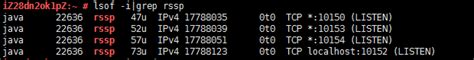 Linux 查看java进程的端口linux Lsofnetstat查看进程和端口号相关命令linux查看java进程端口 Csdn博客