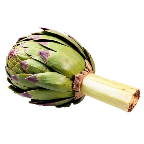 [100 ] Artichoke Png Images