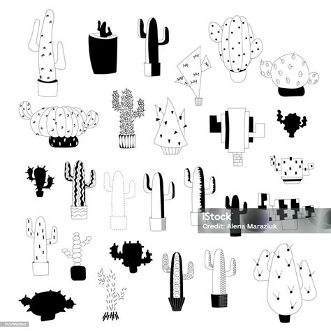 흰색 배경에 격리된 특이한 흑백 선인장 세트 낙서 당신의 디자인을 위한 흑백 선인장과 다육 식물 벡터 그림 가시에 대한 스톡 벡터 아트 및 기타 이미지 Istock
