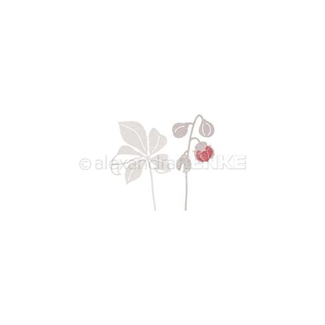Alexandra Renke Dies Chestnut Branch Duo