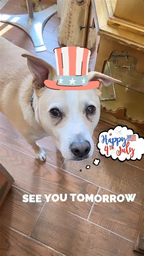 See You Tomorrow Meme