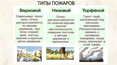 Лесной пожар Причины лесных пожаров презентация онлайн