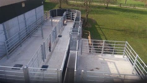 IAE Fixed Cattle Handling System Cattle Farming Cattle Ranching Livestock Cattle Barn Show