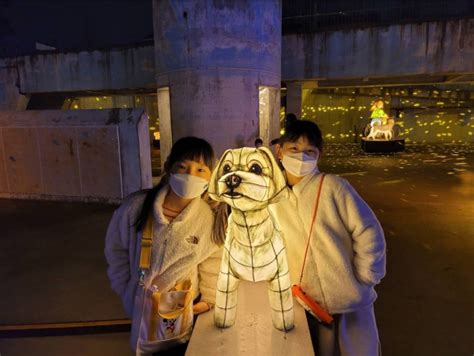 그림토리 몰티즈는 높이 0 8m이고 가로 1 2m로 제작된 한지등 작품입니다 사람과 오랜 세월 함께