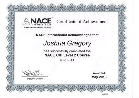 Nace Level 2 Pdf
