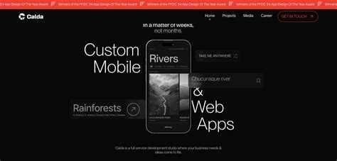 Top FlutterFlow Developers In REVERB