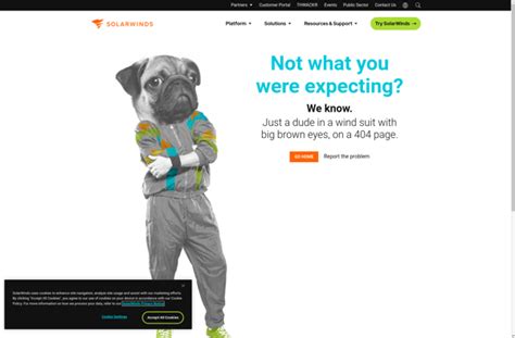 Solarwinds Network Topology Mapper Visualize Complex Networks Sugggest