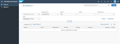 How To Setup Sap Btp Trial Account And Create Sap Hana Cloud Database