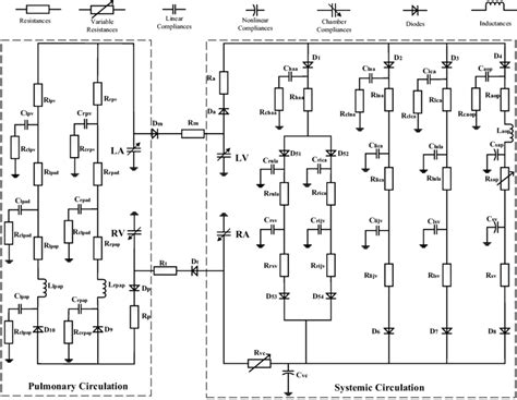 Lumped Parameter Circuit Platform For Normal Human Circulation System Download Scientific