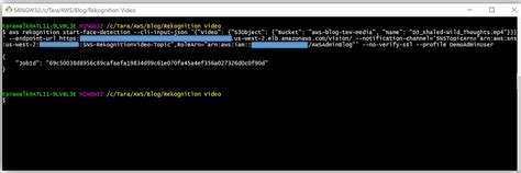 Welcoming Amazon Rekognition Video Deep Learning Based Video Recognition Aws News Blog