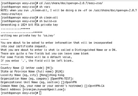 Openvpn Implementation Nirlog