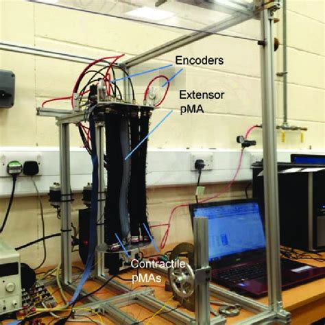 PDF Novel Design Of A Soft Lightweight Pneumatic Continuum Robot Arm With Decoupled Variable