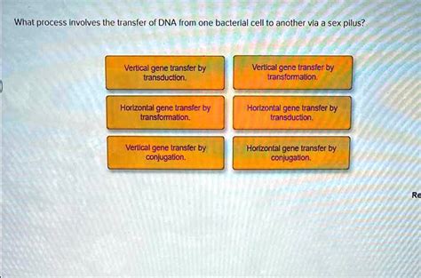 Solved What Process Involves The Transfer Of Dna From One Bacterial Cell To Another Via A Sex