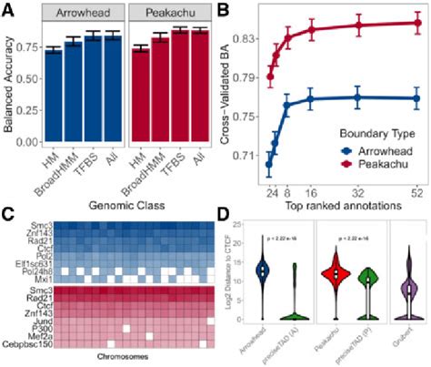 Smc3 Rad21 Ctcf And Znf143 Transcription Factors Accurately Predict Download Scientific