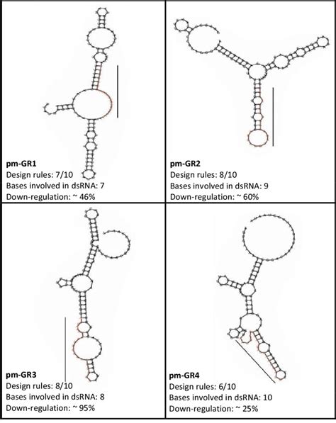 Rna Tertiary Structure Differences In Ion Rna Binding Modes Due To