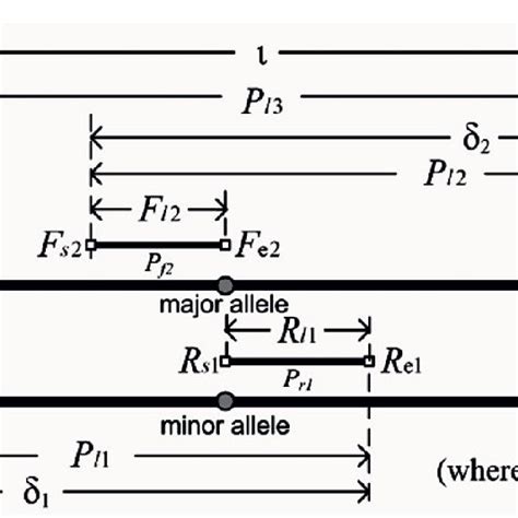Parameters Of The Template Dna And The Ctpp Primer Set Symbols