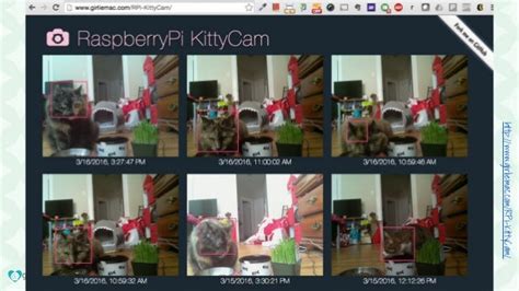 [js kongress 2016] kittycam js raspberry pi camera w cat facial de…