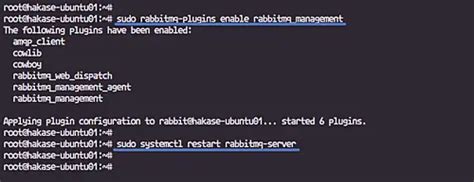 how to set up rabbitmq cluster on ubuntu 18 04 lts مدیریت منیج سرور