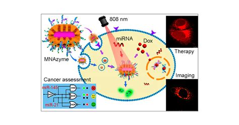 In Situ Amplification Of Intracellular Microrna With Mnazyme Nanodevices For Multiplexed Imaging