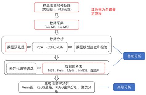【暂停不做】非靶向代谢组 科研服务 上海伯豪生物技术有限公司 服务科技创新，护航人类健康！