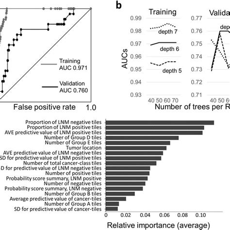 Predictive Accuracy Of The Random Forest Model A Receiver Operating Download Scientific