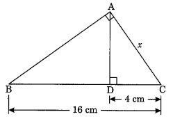 Triangles Class MCQ Online Test With Answers Questions