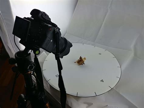 Dusan Kovic Cg Artist Photogrammetry Experiments