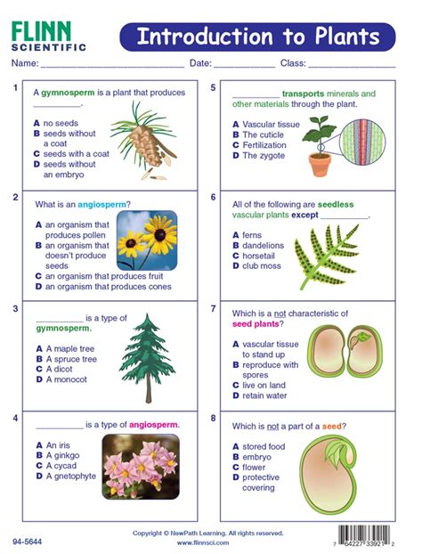 introduction to plants—newpath visual learning guide set of 10 flinn