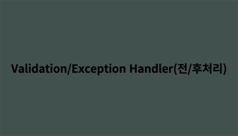 validation 과 exception handler