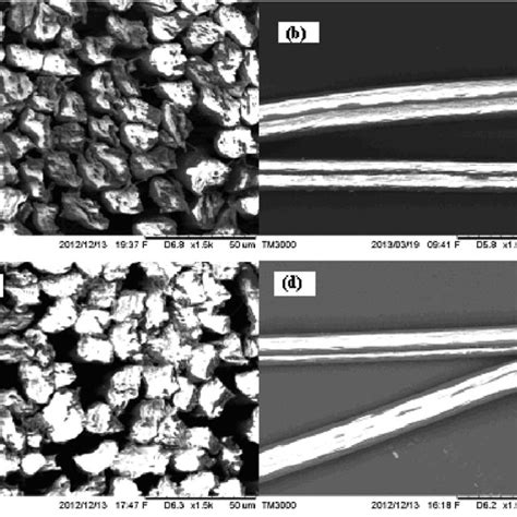 Scanning Electron Micrographs Of Fibers A Cross Section Morphology