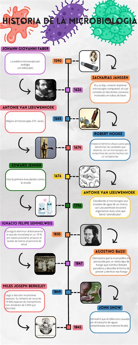 Infografia Línea Del Tiempo Historia Timeline Doodle Multicolor