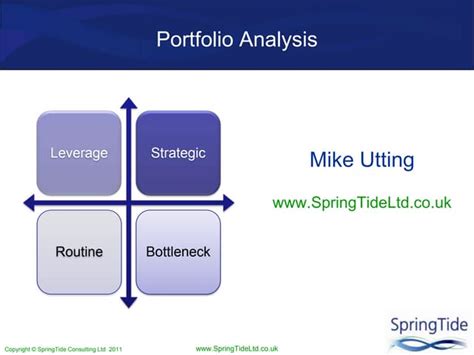 A Guide To Portfolio Analysis Tools To Help You Improve Pptx