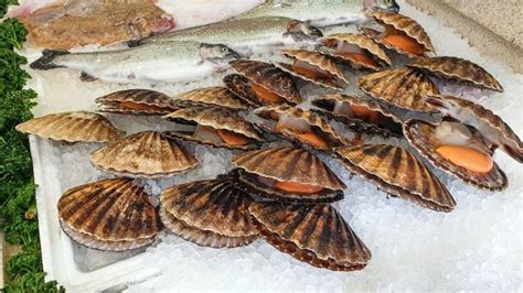 Shellfish Harvested By Humans Have Been Less Prone To Extinction In The