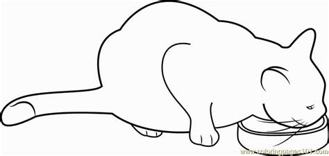 Cat Eating Drawing At Explore Collection Of Cat