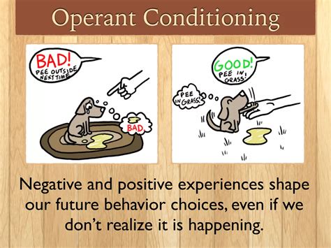 Operant Conditioning Pdf Medical Health
