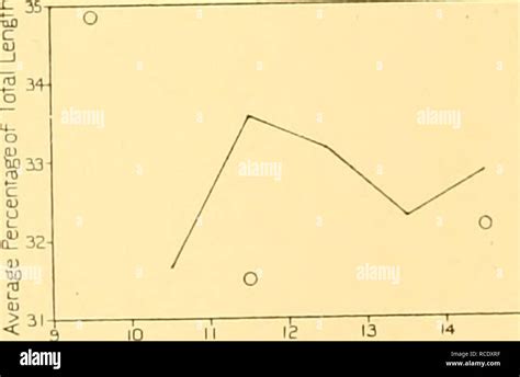 Humpback Whale Snout Hi Res Stock Photography And Images Alamy