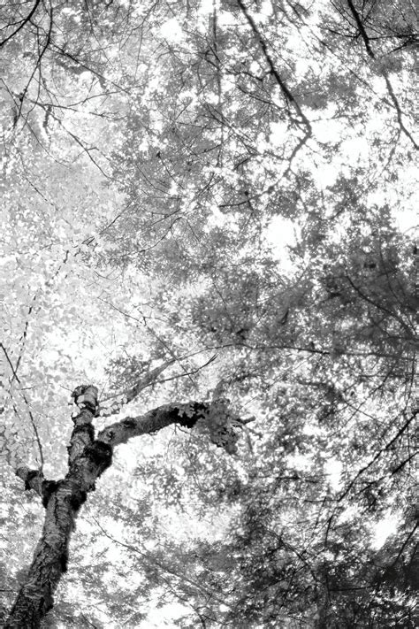 Why I Volunteer This Was Originally Published In The By Bert Wagner Sql Lessons With Bert