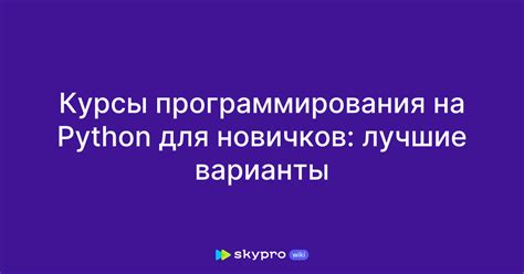 Курсы программирования на Python для новичков лучшие варианты