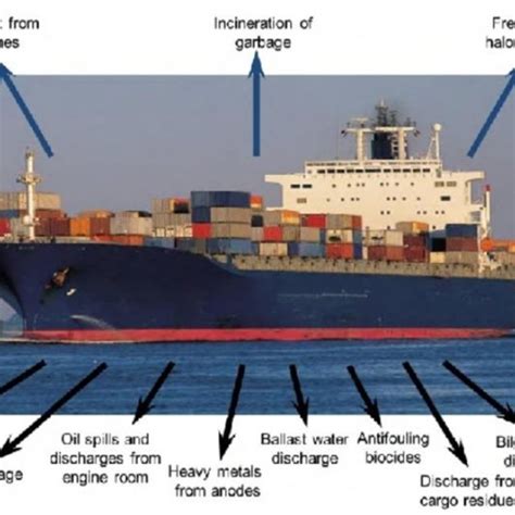 Single Hull Vs Double Hulls Tankers Source Clear Seas 2018 Download Scientific Diagram