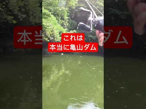 これは亀山ダムと確信 亀山湖 亀山ダム バス釣り ビッグベイト ガンクラフト ルアー ルアーフィッシング レンタルボート ジョイクロ 千葉県 全国釣り動画・snsまとめサイト