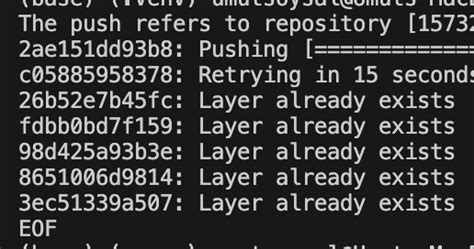 Amazon Web Services Cant Push Docker Image To Aws Elastic Container