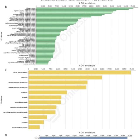 Distribution Of Go Annotation Levels And Sequence Go Term Assignments Download Scientific
