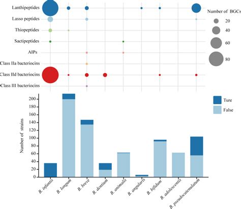 Bifidobacterium Longum Subsp Infantis As Widespread Bacteriocin Gene Clusters Carrier Stands