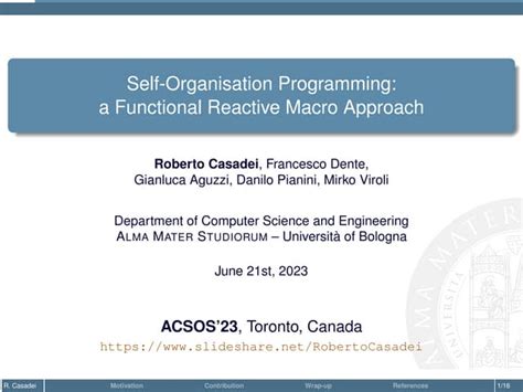 self organisation programming a functional reactive macro approach