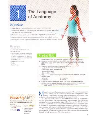 AP Lab Ex 02 Review Sheet Chapter 2 Organ Systems Overview BIO 111